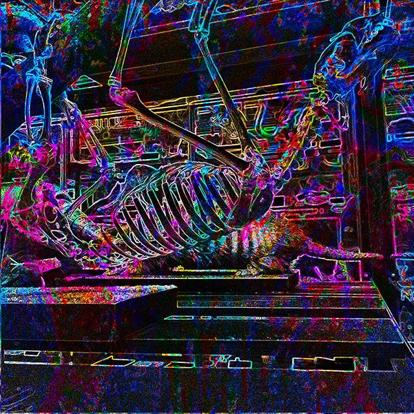 Deadheads at the Dead Zoo - NFT Showroom