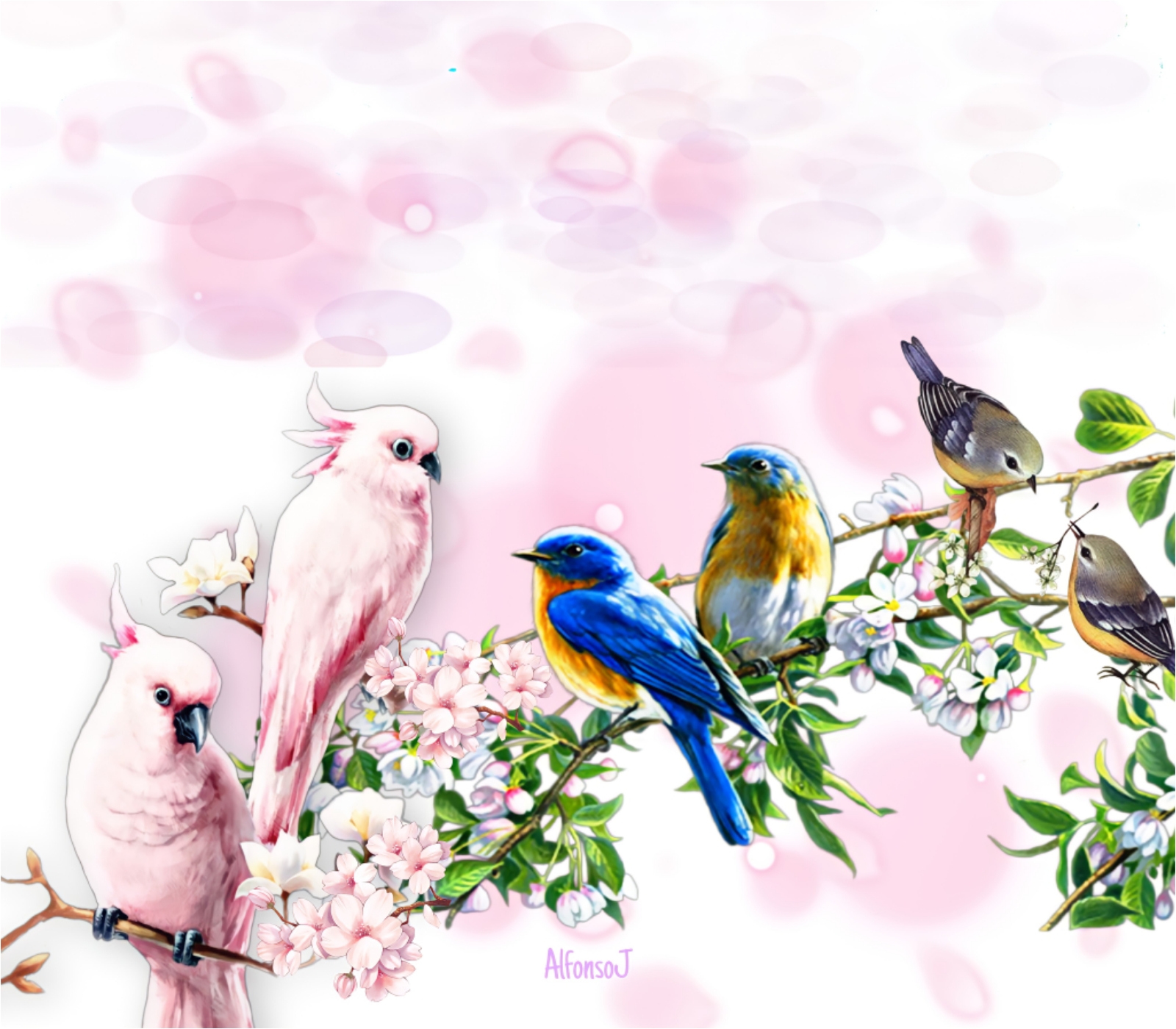 Couples - NFT Showroom